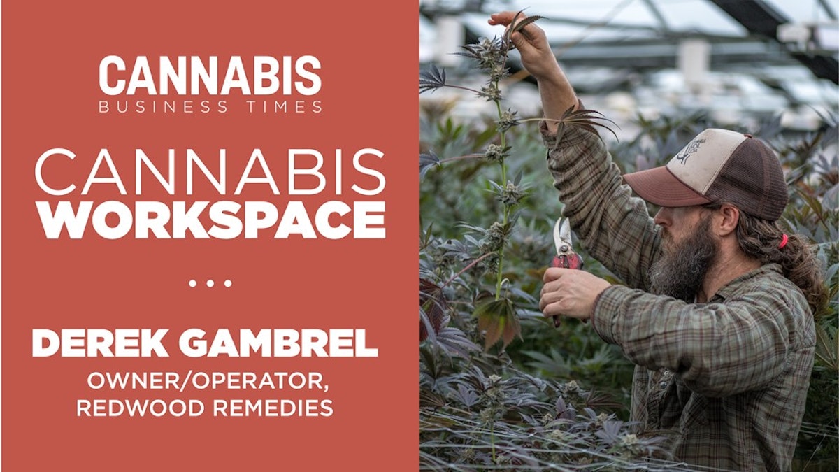 How Redwood Remedies’ Derek Gambrel Works: Cannabis Workspace ...
